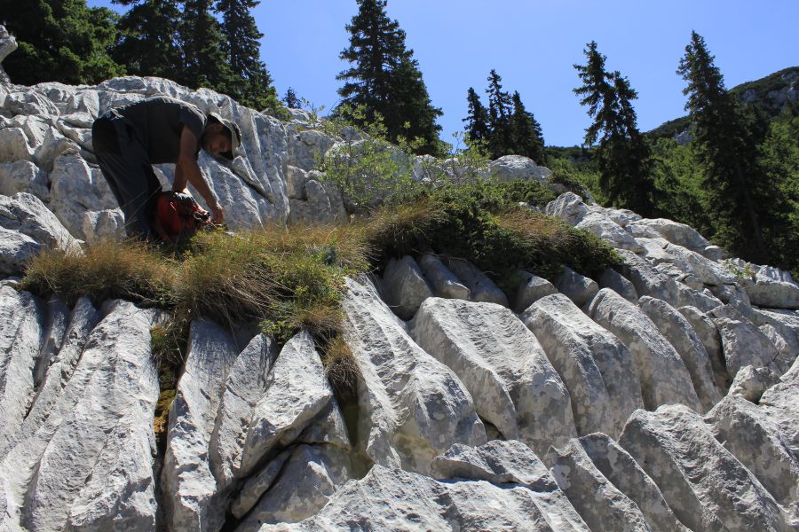 Geomorfologija